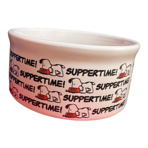 Peanuts | Dog | Peanuts Snoopy Supper Time Dog Dish | Poshmark